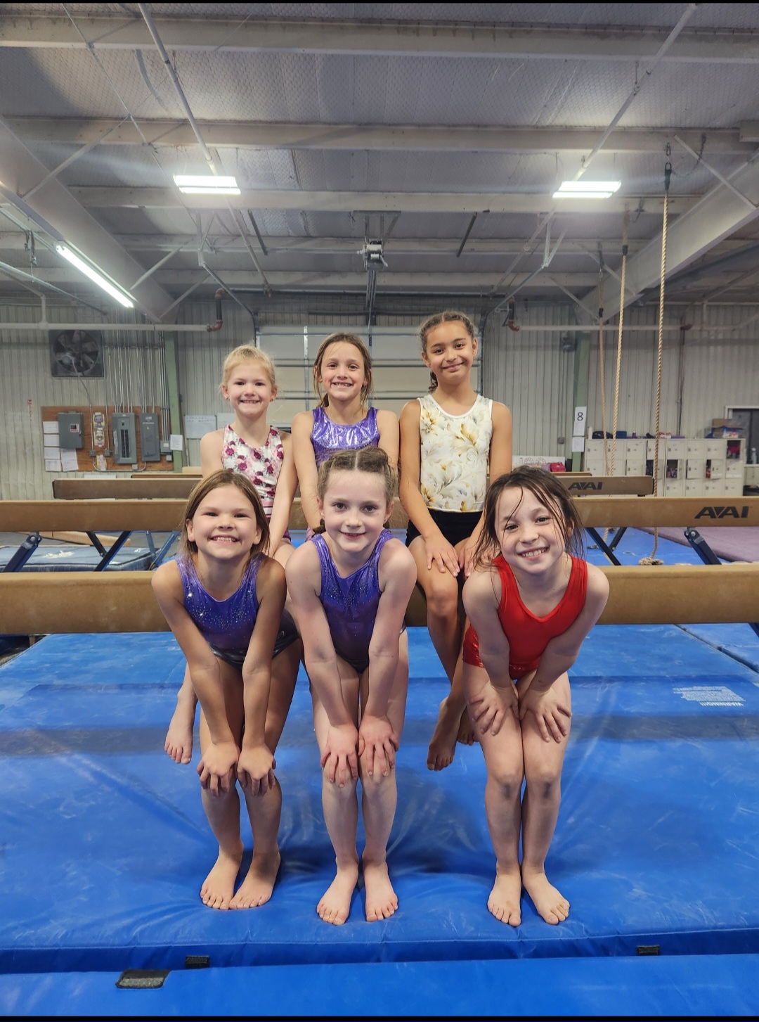 Premier Gymnastics East Greeley Gymnastics Classes